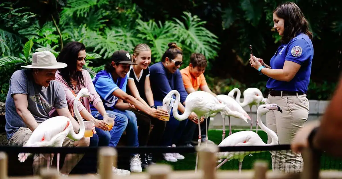 ARIVAL | ETOA WEBINAR | Arival | The Resource for the Best Part of Travel